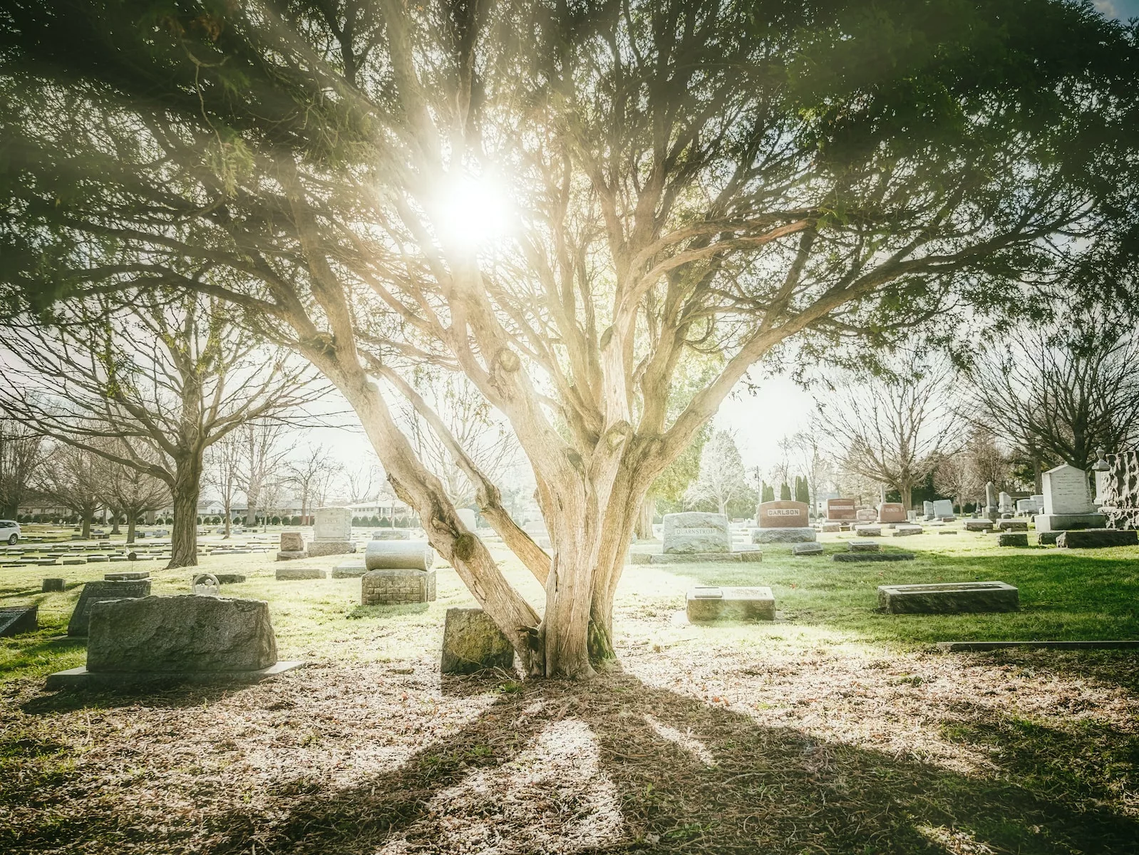Cemetery Negligence: Understanding The Impact